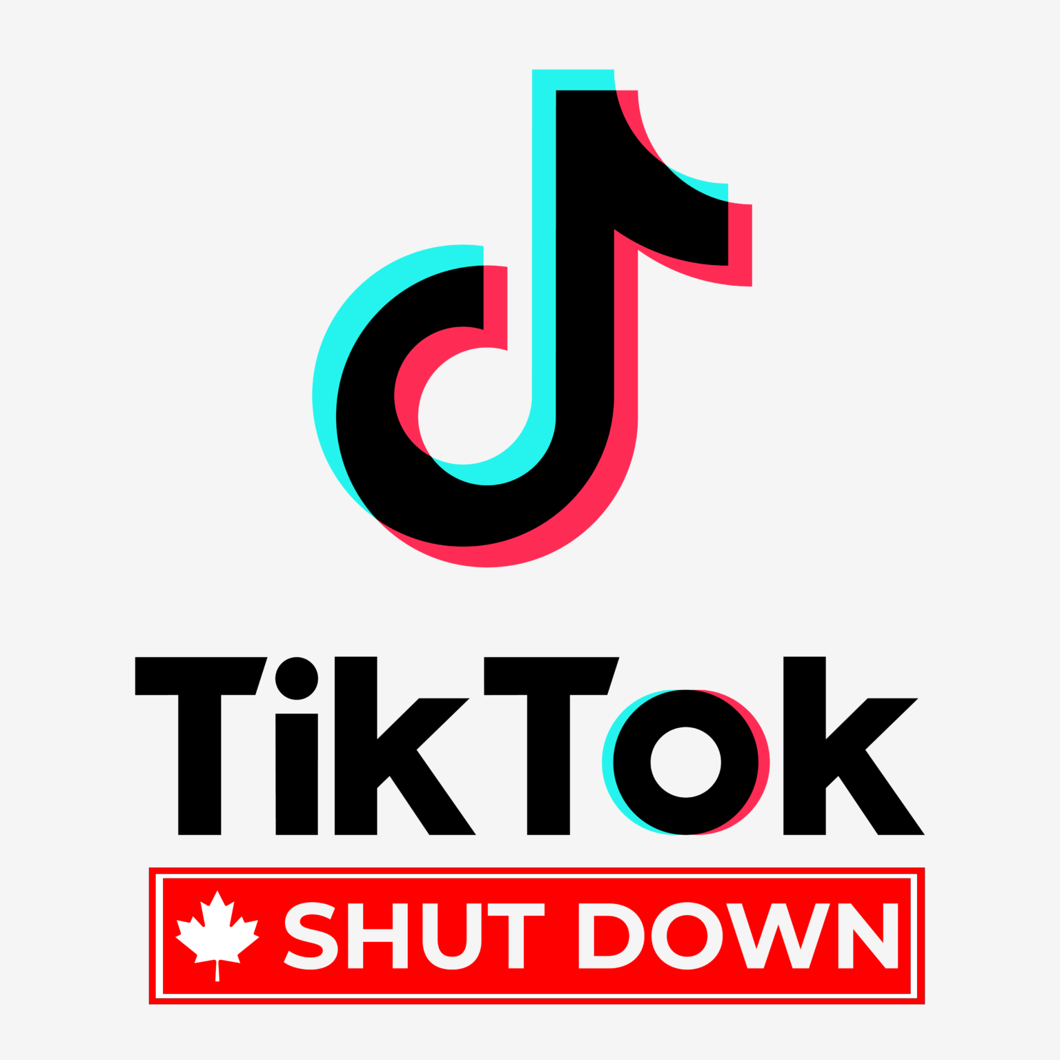 Canada vs. TikTok: What the Office Shutdown Means for Digital Creators ...